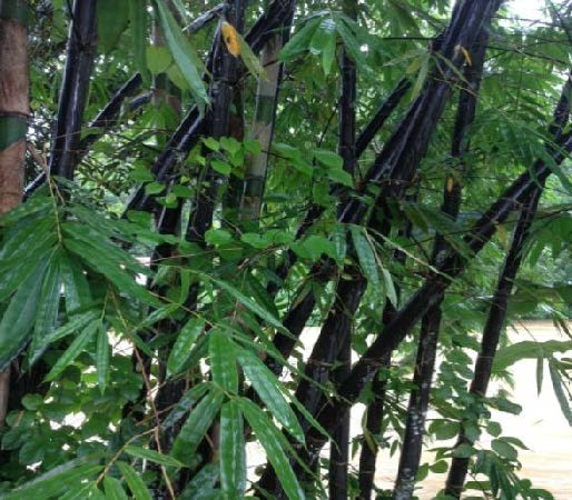 Educhannel Indonesia